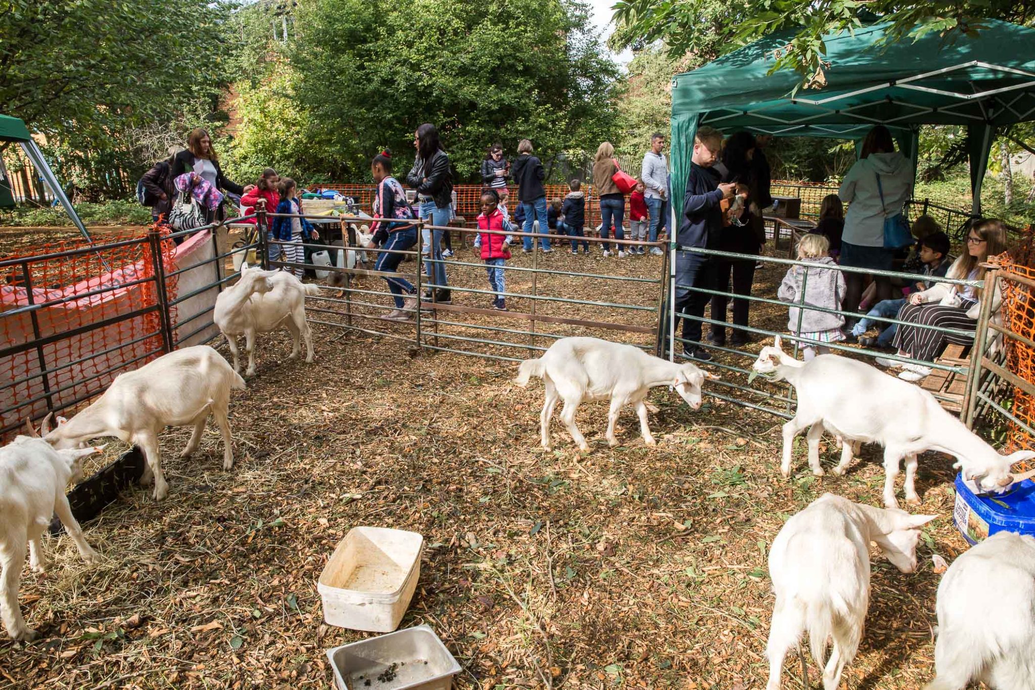 Fun Palaces homepage