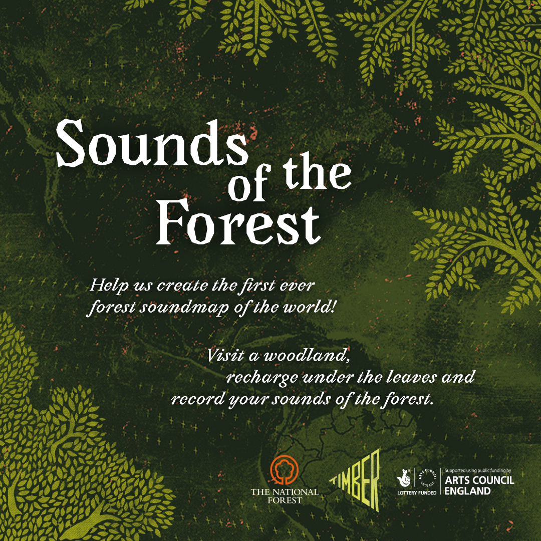 #TinyRevolutions - Sounds of the Forest - Fun Palaces